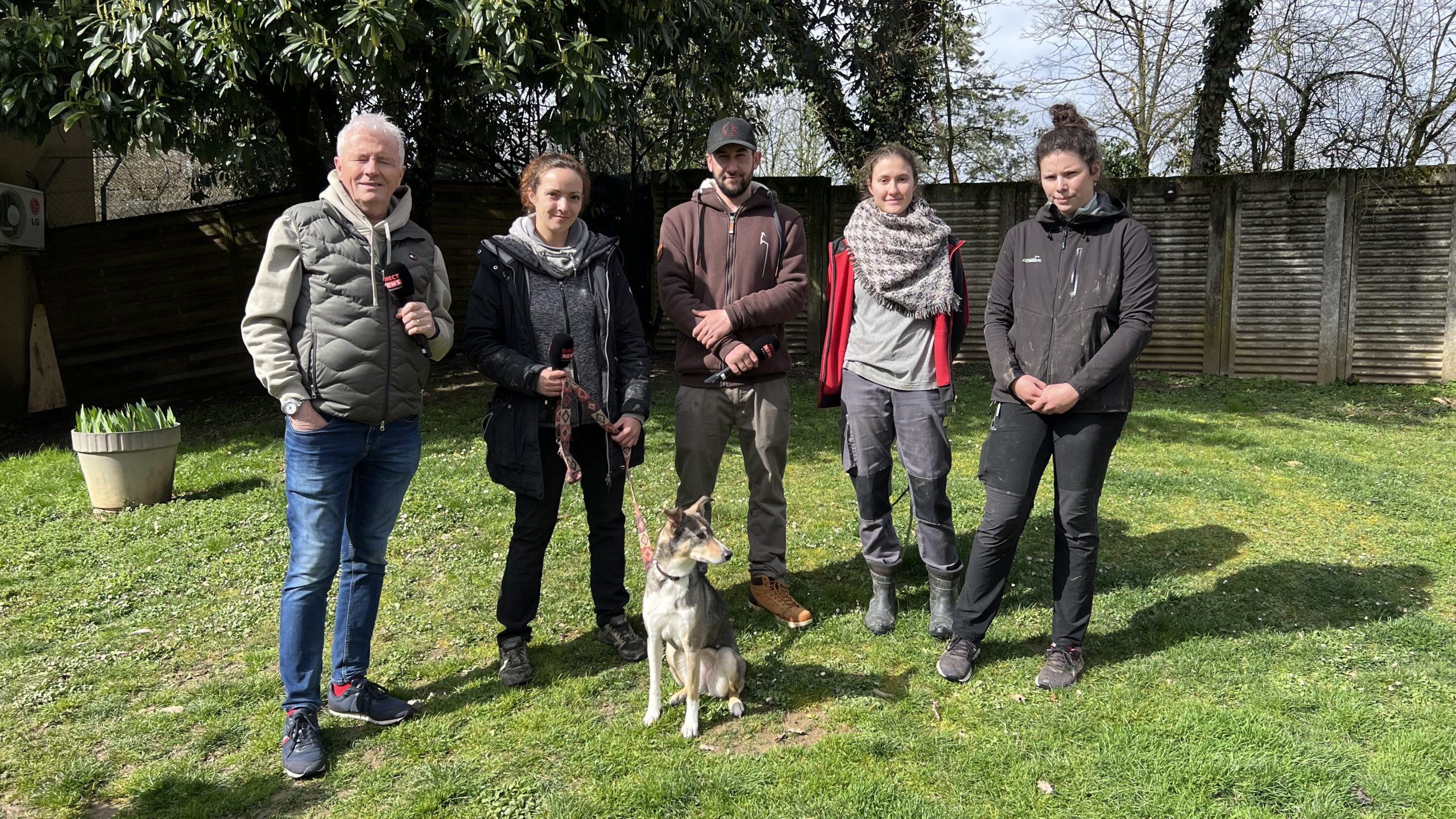 SPA Genève Chiens à adopter Mars 2024 - DIRECT NEWS